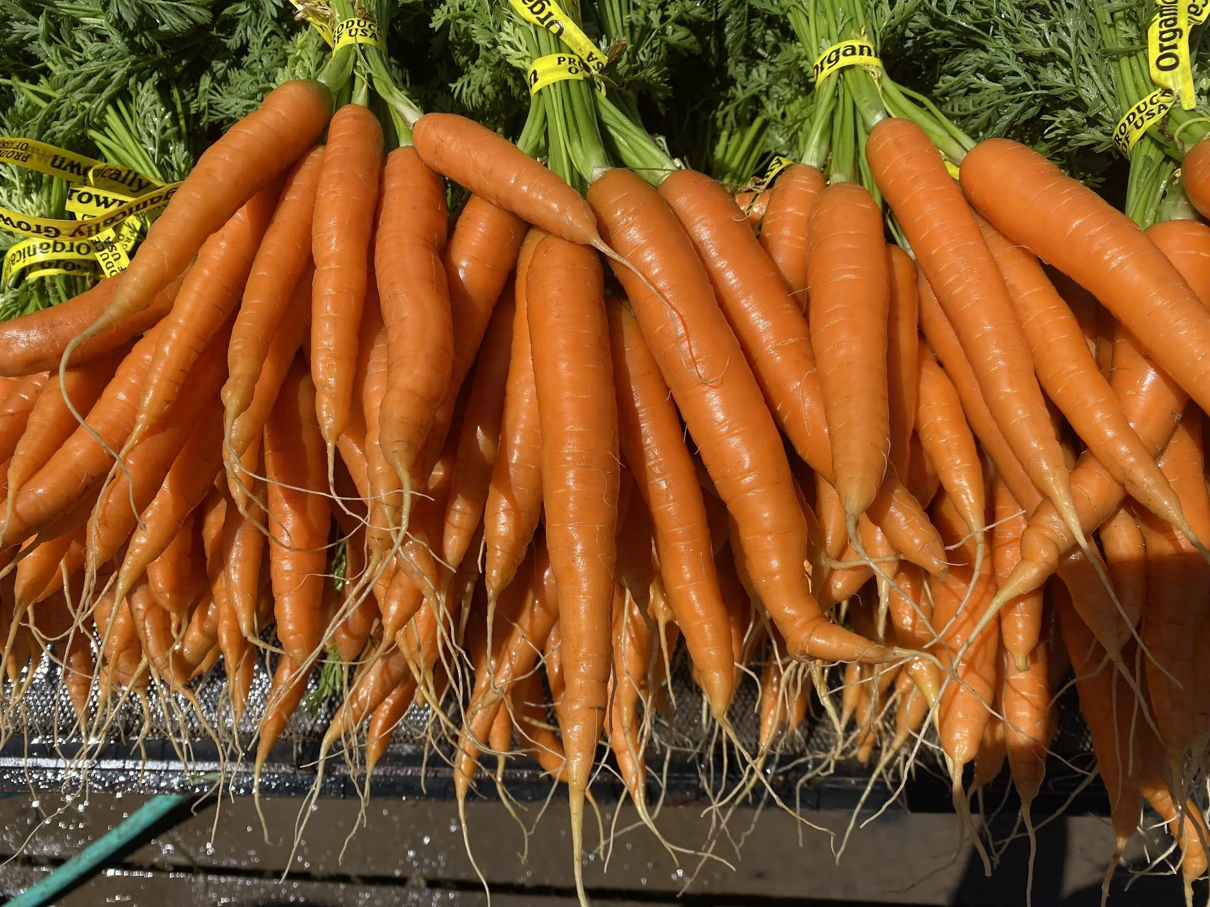 Farmboy Organics