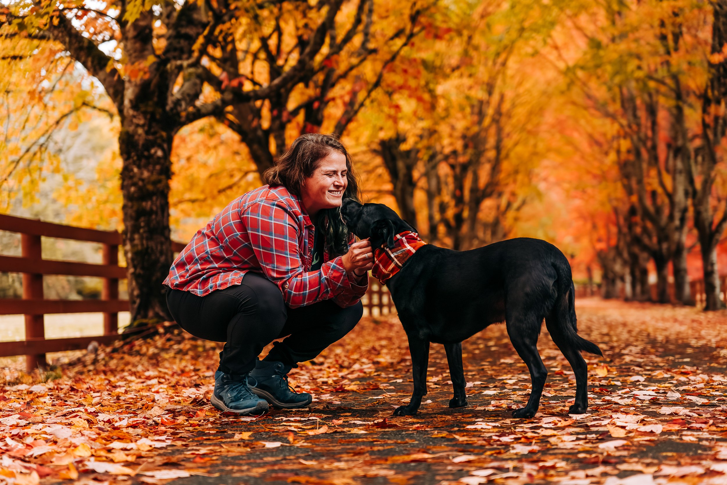 Rockwood Farms Mini Portrait Sessions — Tails & Trails Pet Photography