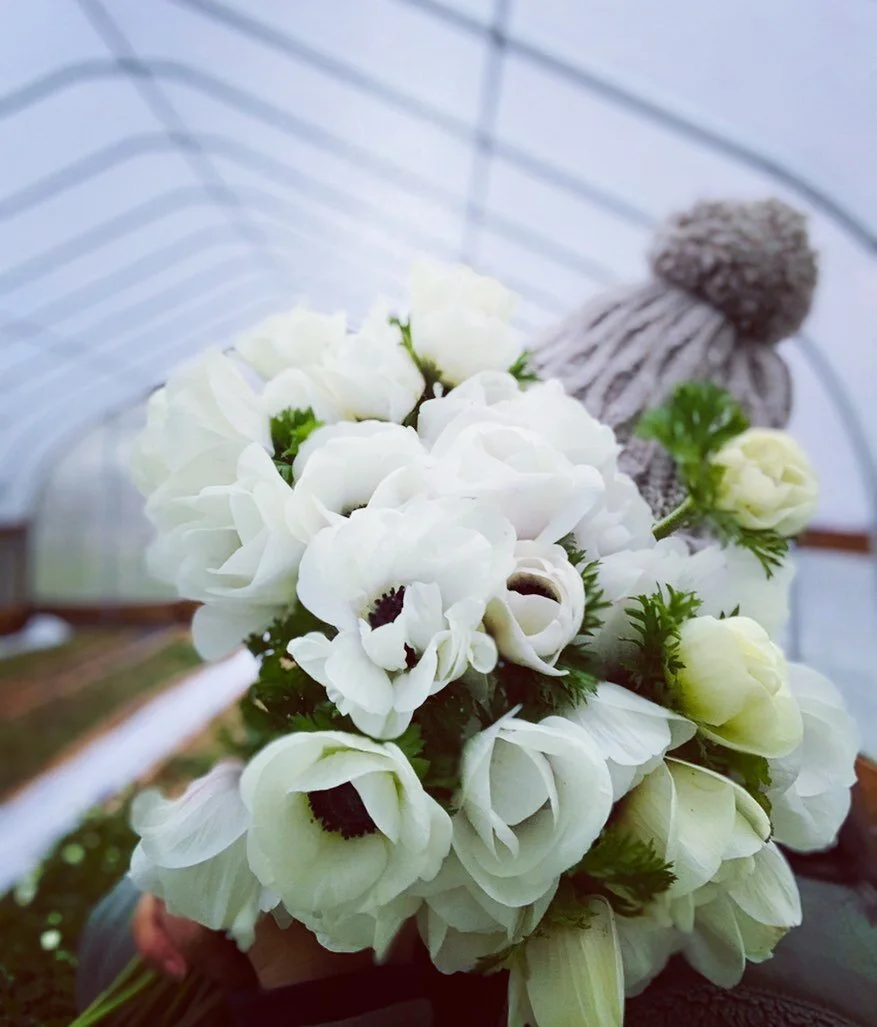 Sweet Briar Flowers PNW