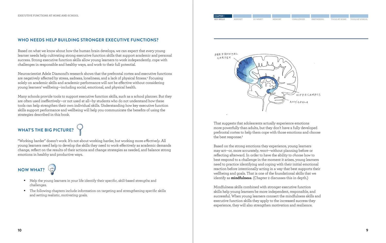 Executive Function Book — Atelier Cho Thompson