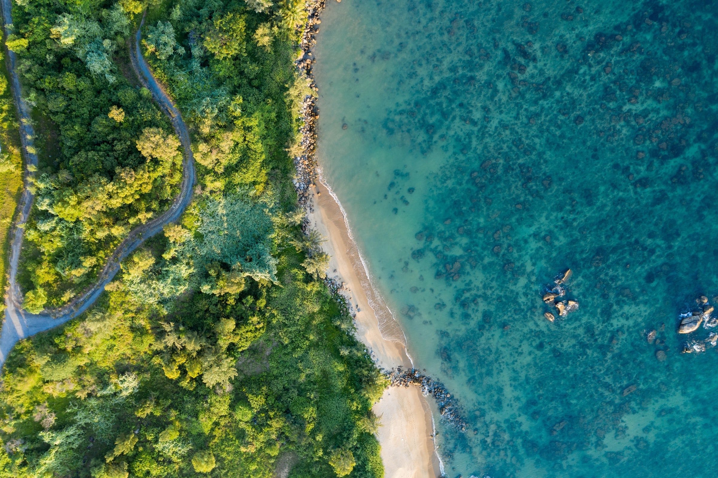 Climate Investment Challenge