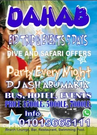 Best eats in Dahab - bars, DJs, music — OzzyHopper