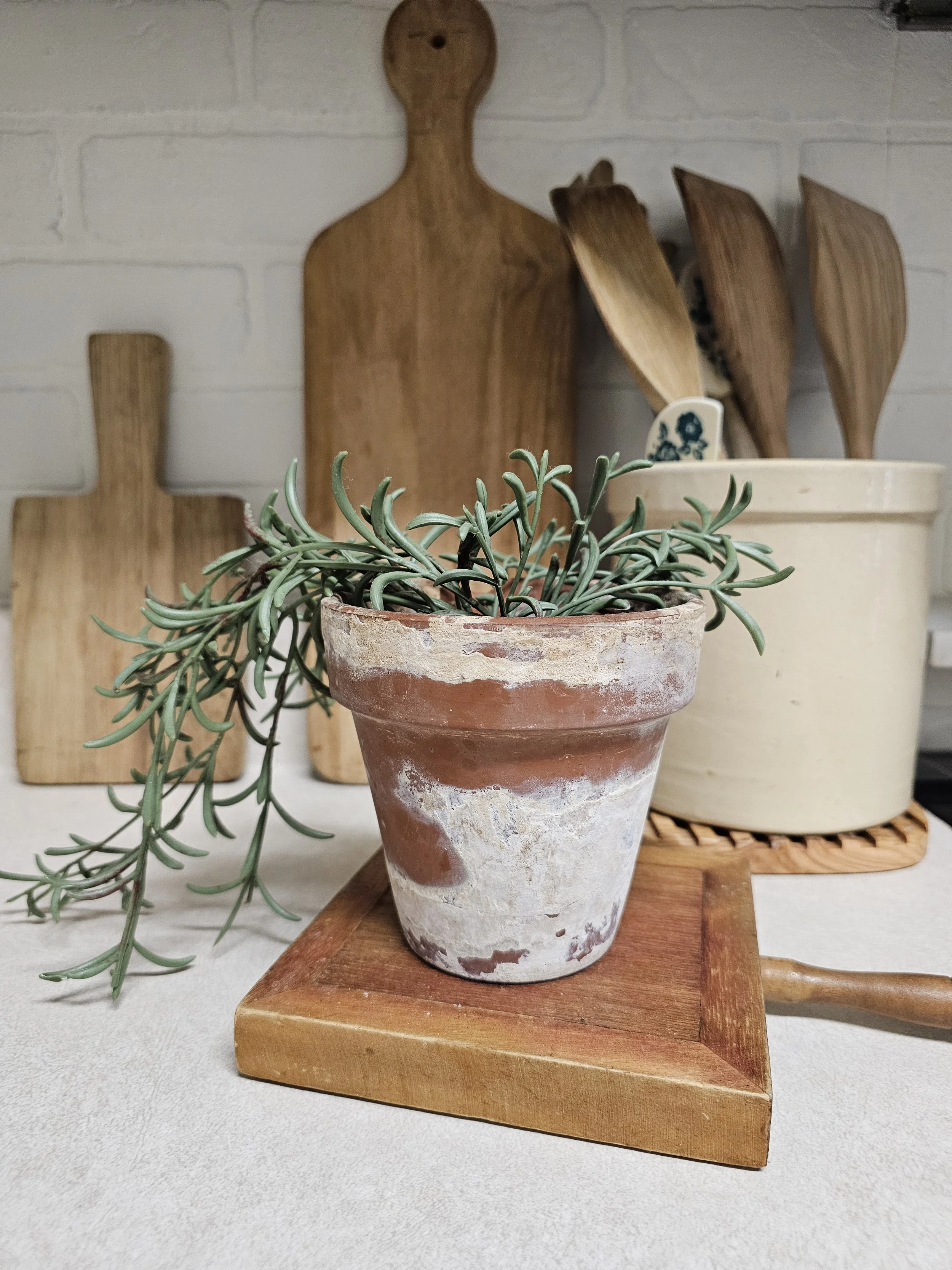 Lamplighter Buds | 38" | Cream — Julie's Designs and Signs