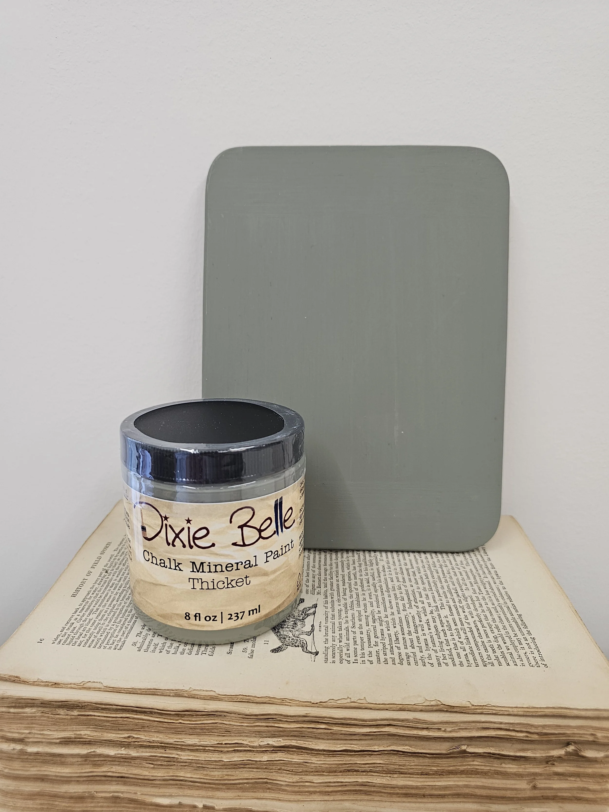 Dixie Bell Paint — Julie's Designs and Signs