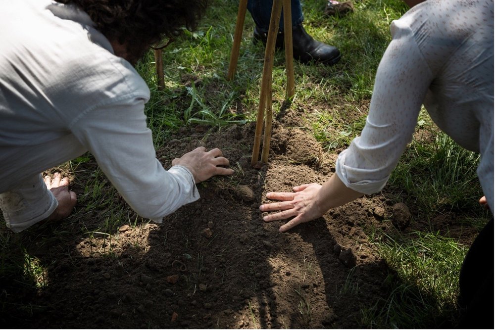 A Willow (Grave) That Knows a Felled Willow (Mourner) That Knew an ...