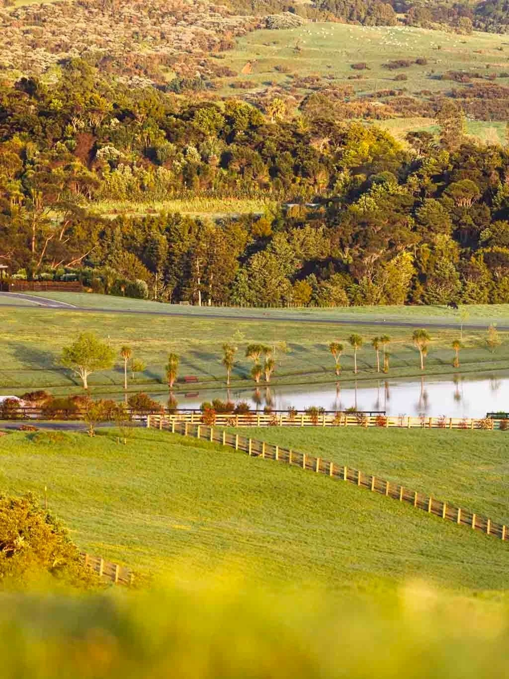 Lake View Estate
