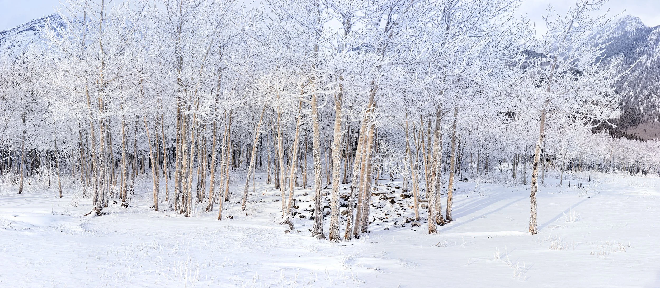 Ultra-high-resolution gigapixel photo galleries. — Scott Dimond photography