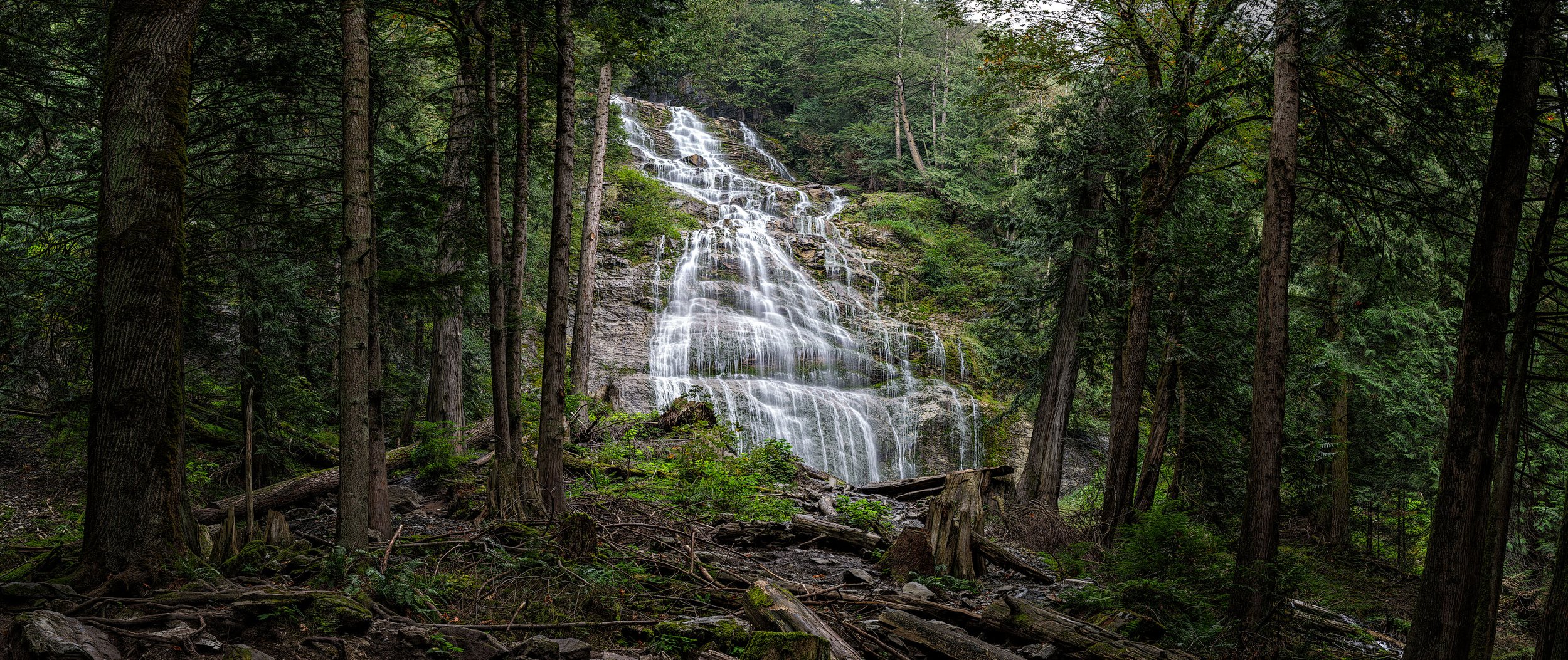 Ultra-high-resolution gigapixel photo galleries. — Scott Dimond photography