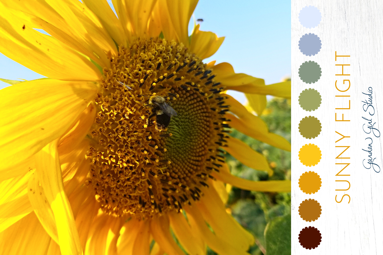 3 Color Palettes to Love for August 2022 — Garden Girl Studio