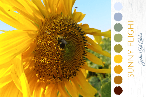 3 Color Palettes to Love for August 2022 — Garden Girl Studio
