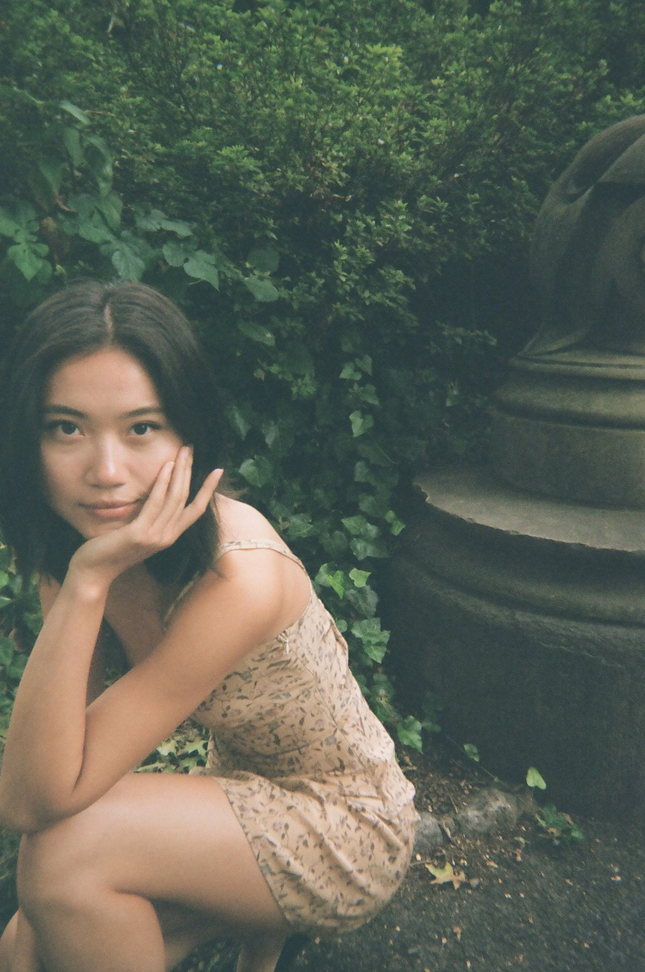 Palisade — Bridget Thompson Studio