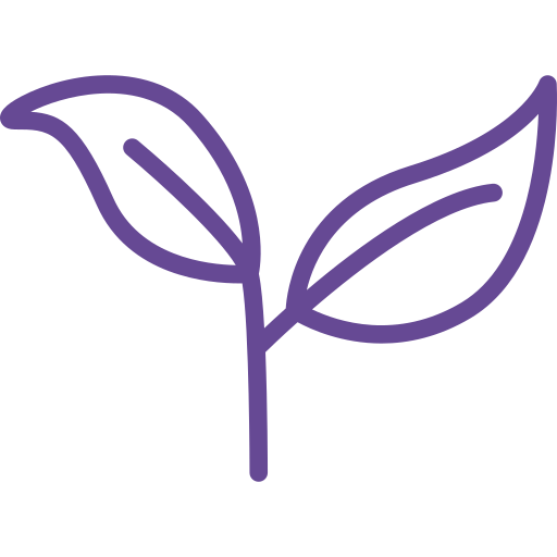 Curriculum — Meltham Moor Primary School