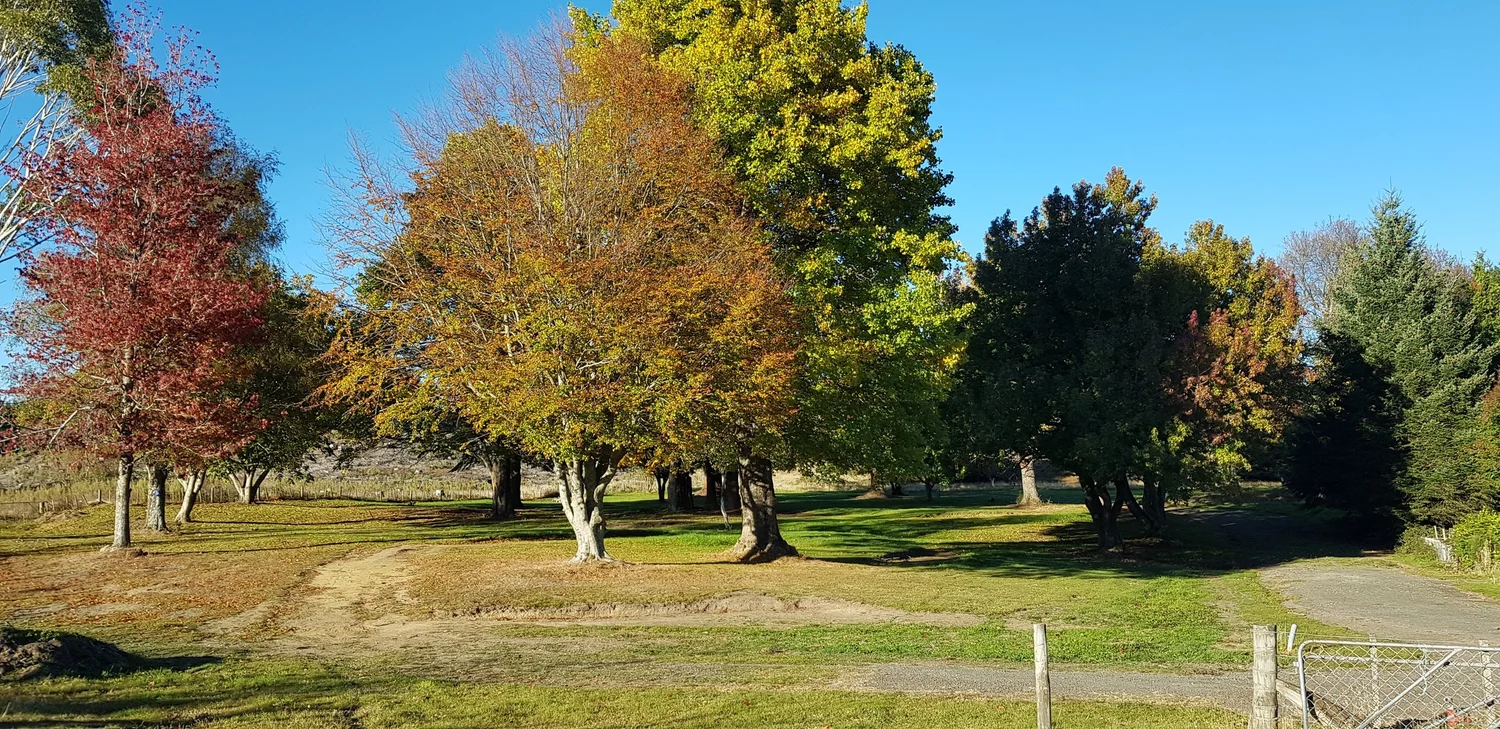ABOUT — Te Pohue Camp Hawke's Bay