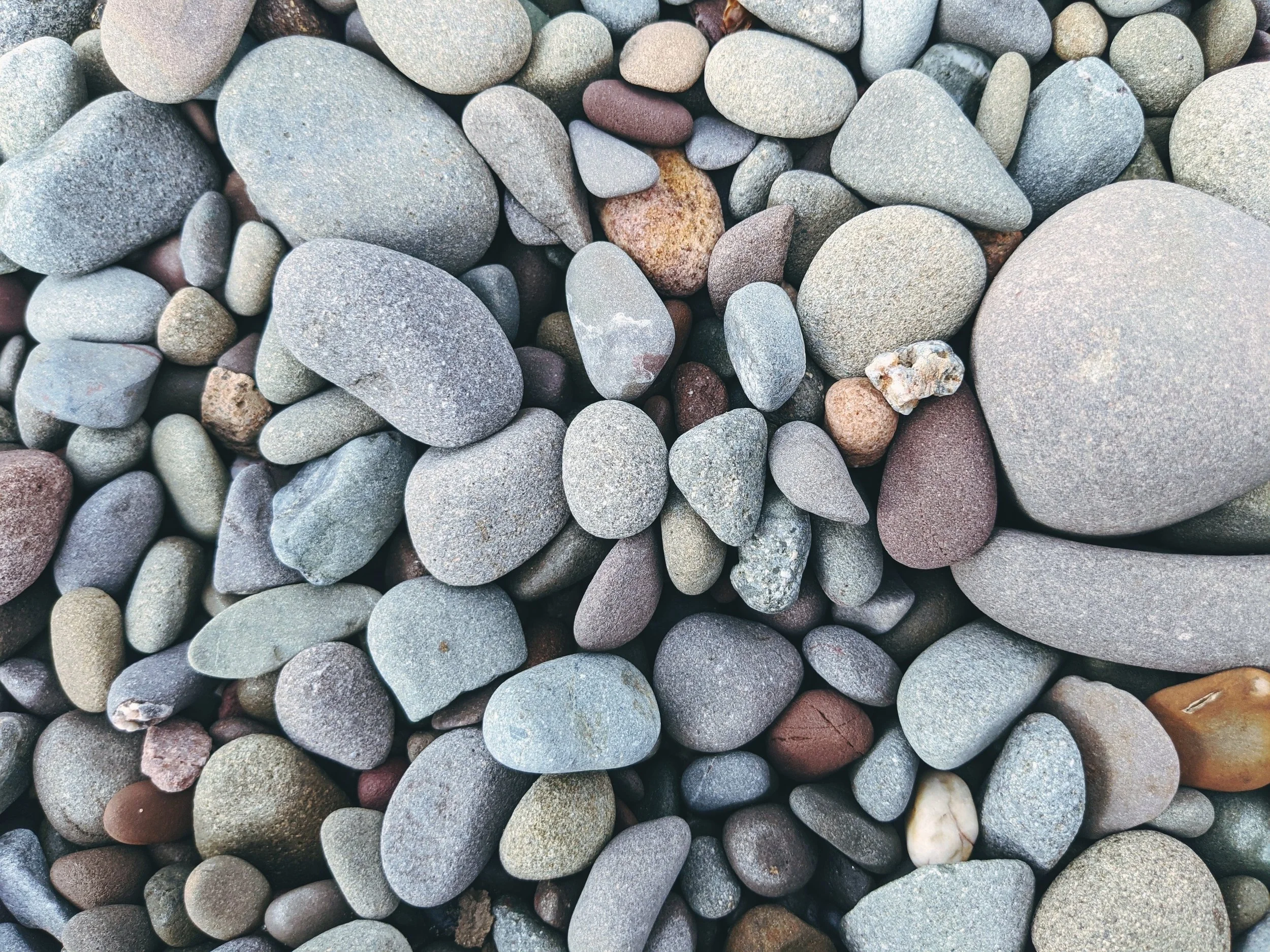 Katie Flack Painted Dots