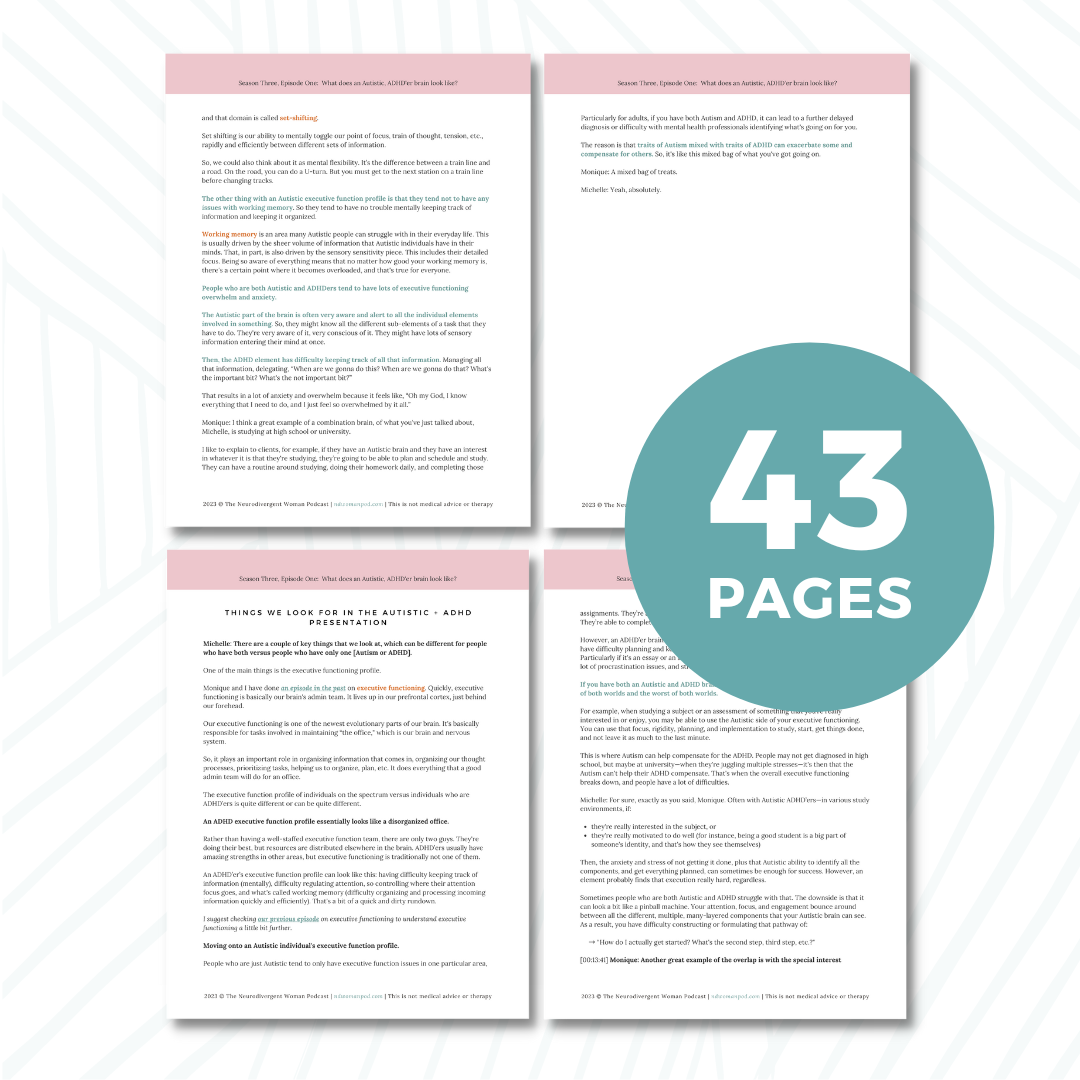 TNDWP S3E1 What does an Autistic ADHDer brain look like? — The ...