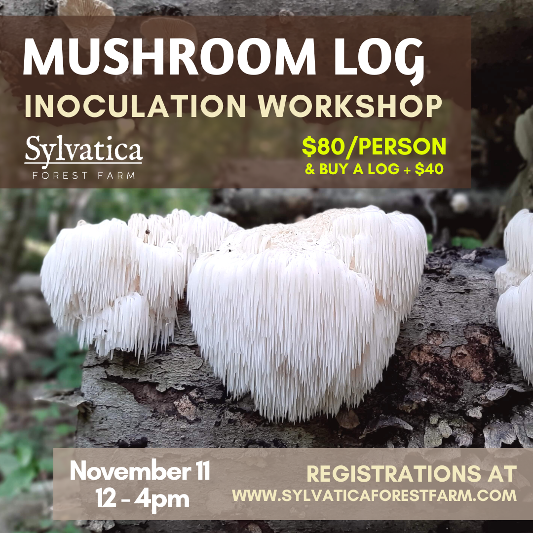 Mushroom Inoculation — Sylvaticaforestfarm