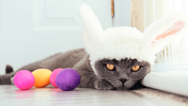 A' Chàisg Sona - Scottish Easter Traditions — Wee Scottish Diaries by Cate