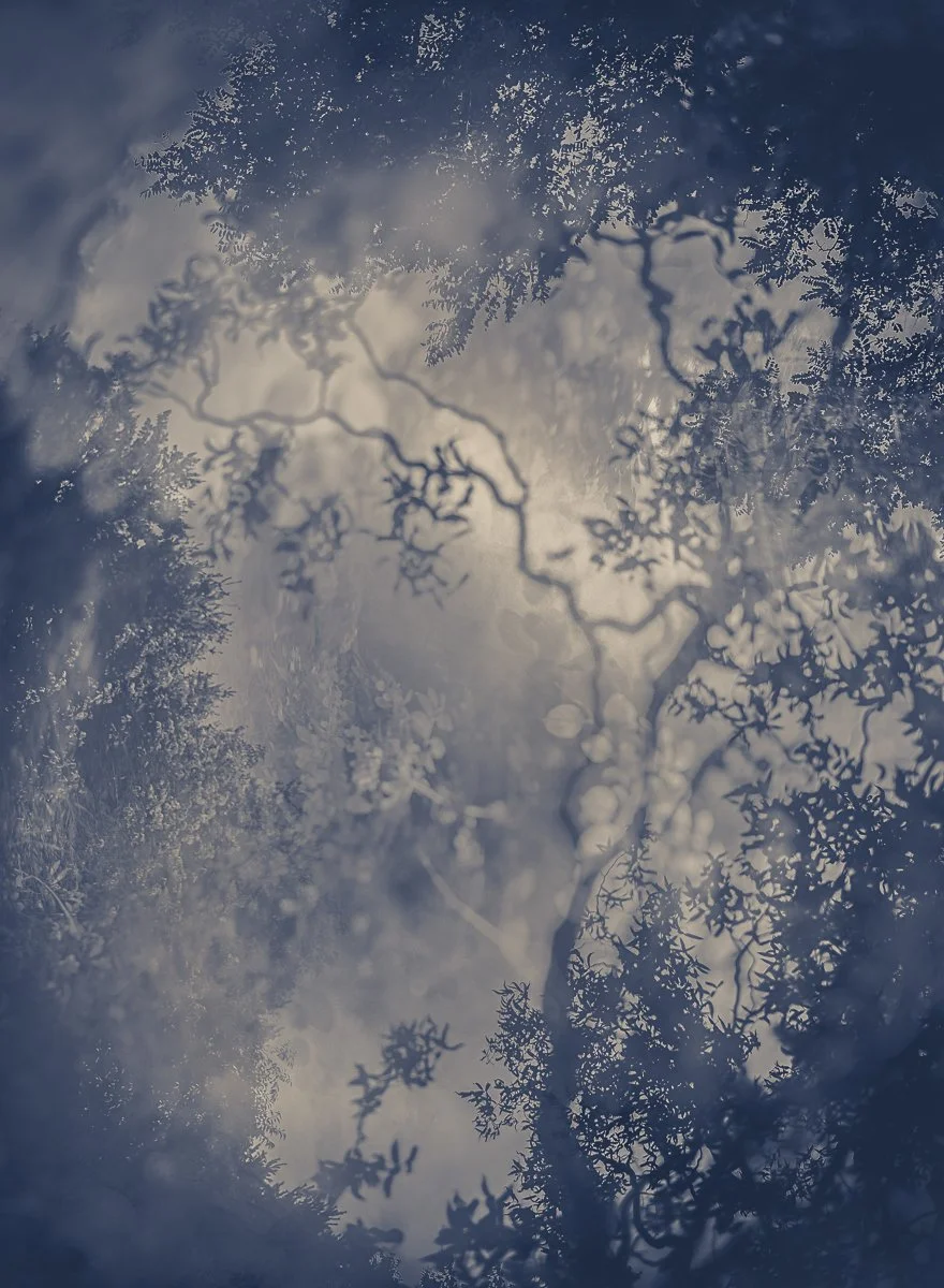 Limited Edition Prints — Karen Olson Photography