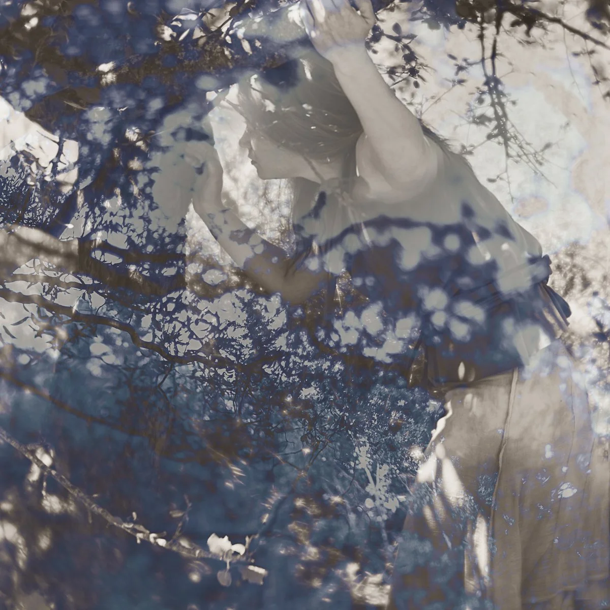 Limited Edition Prints — Karen Olson Photography