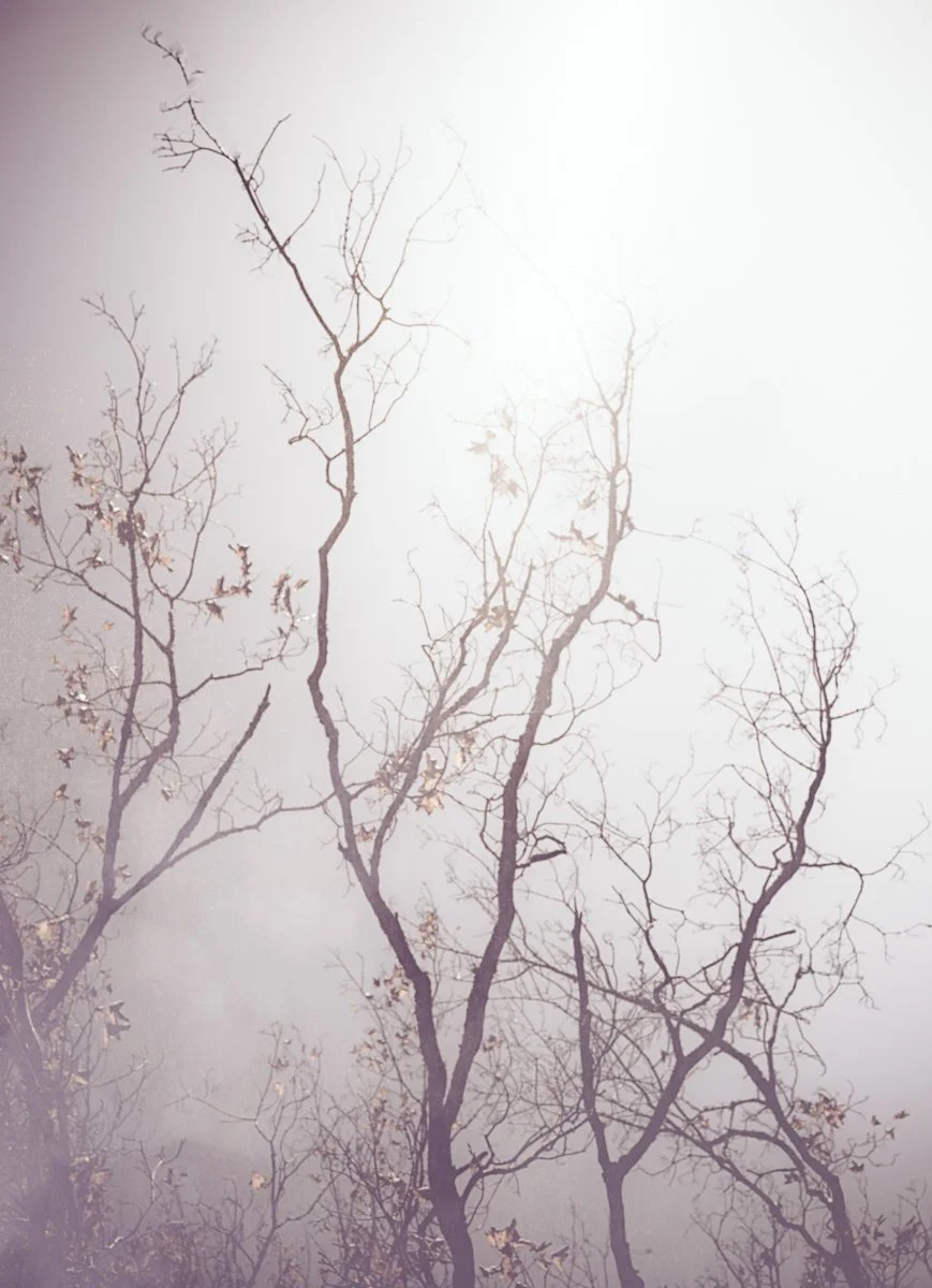 Limited Edition Prints — Karen Olson Photography