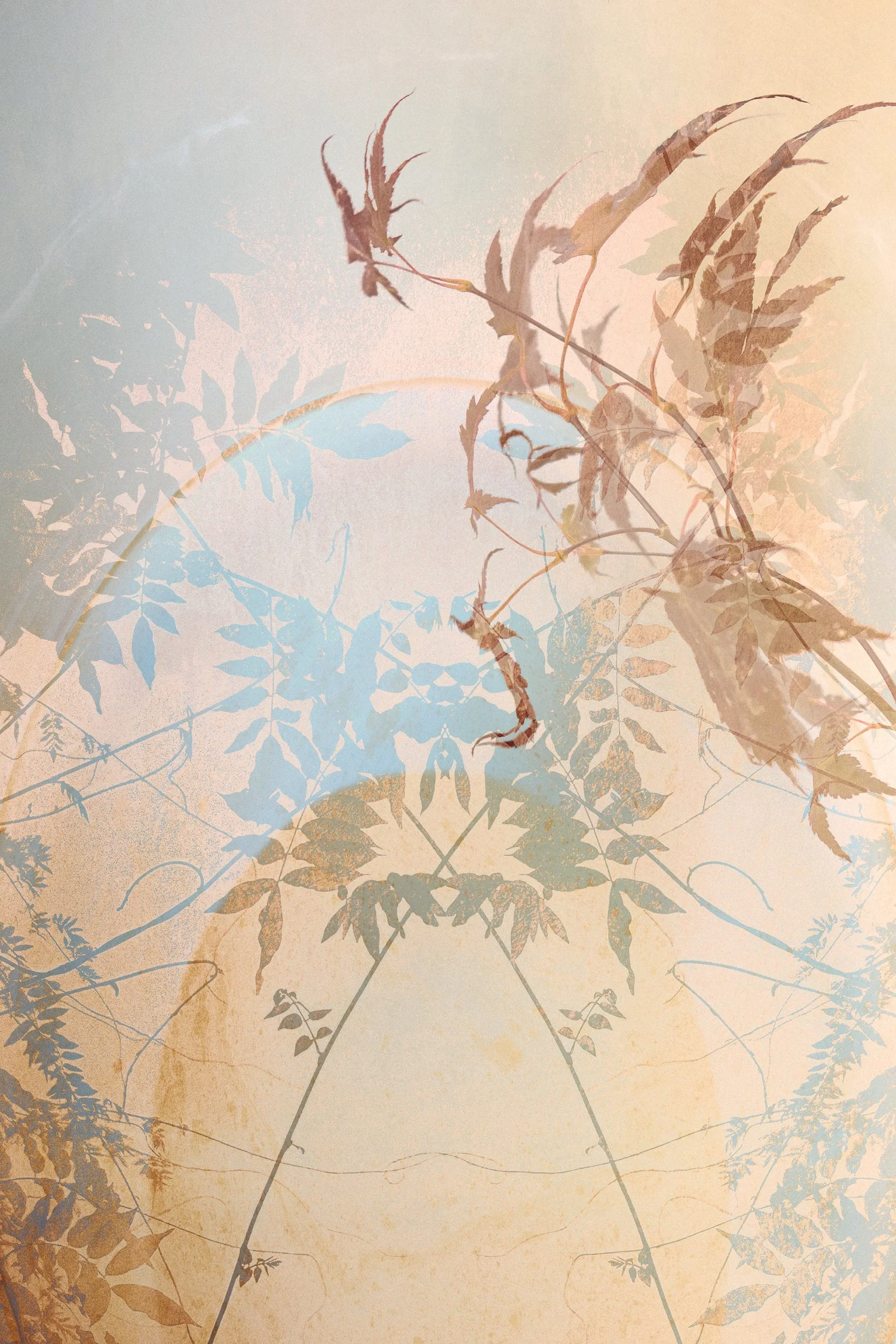 Limited Edition Prints — Karen Olson Photography