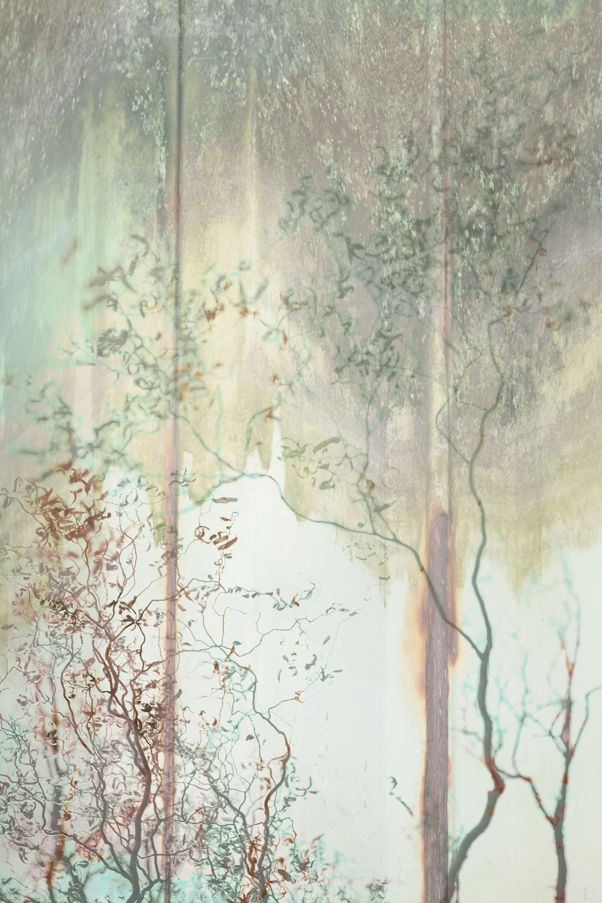 Limited Edition Prints — Karen Olson Photography