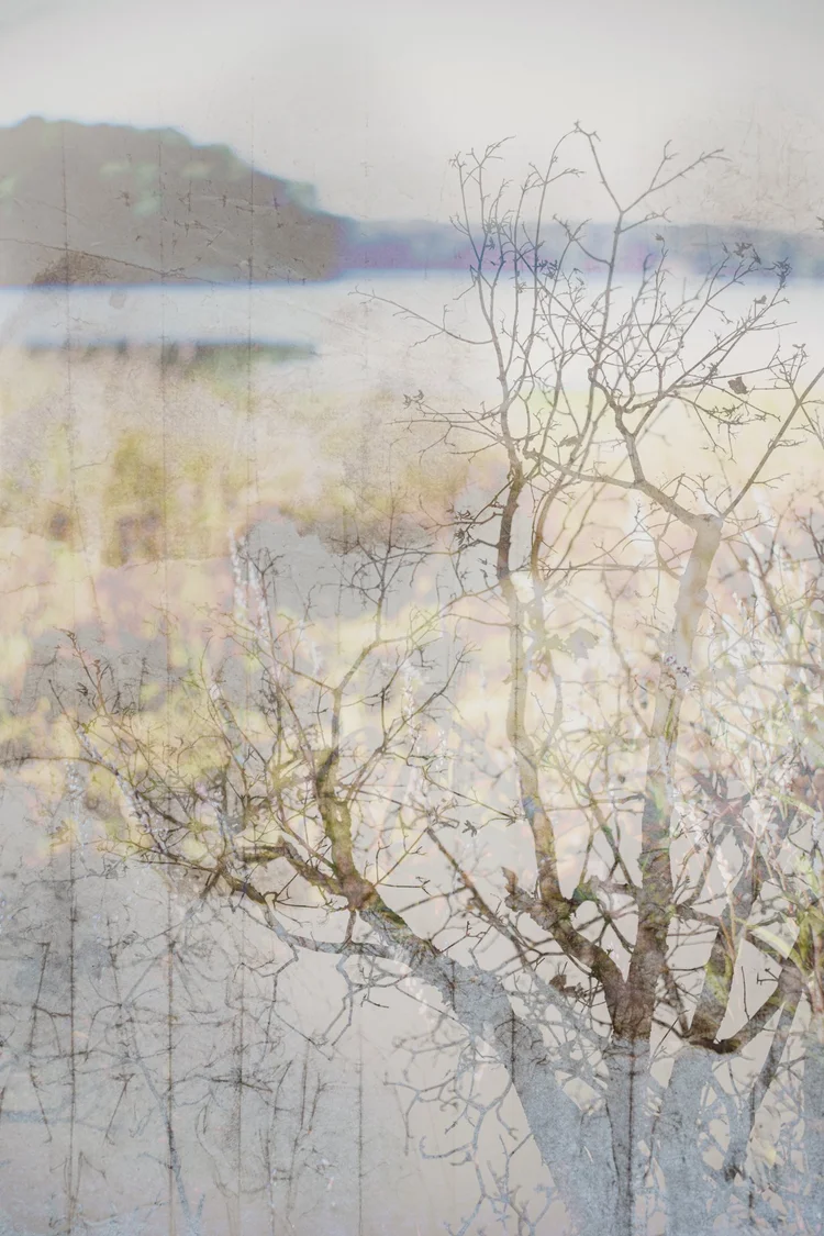 Limited Edition Prints — Karen Olson Photography