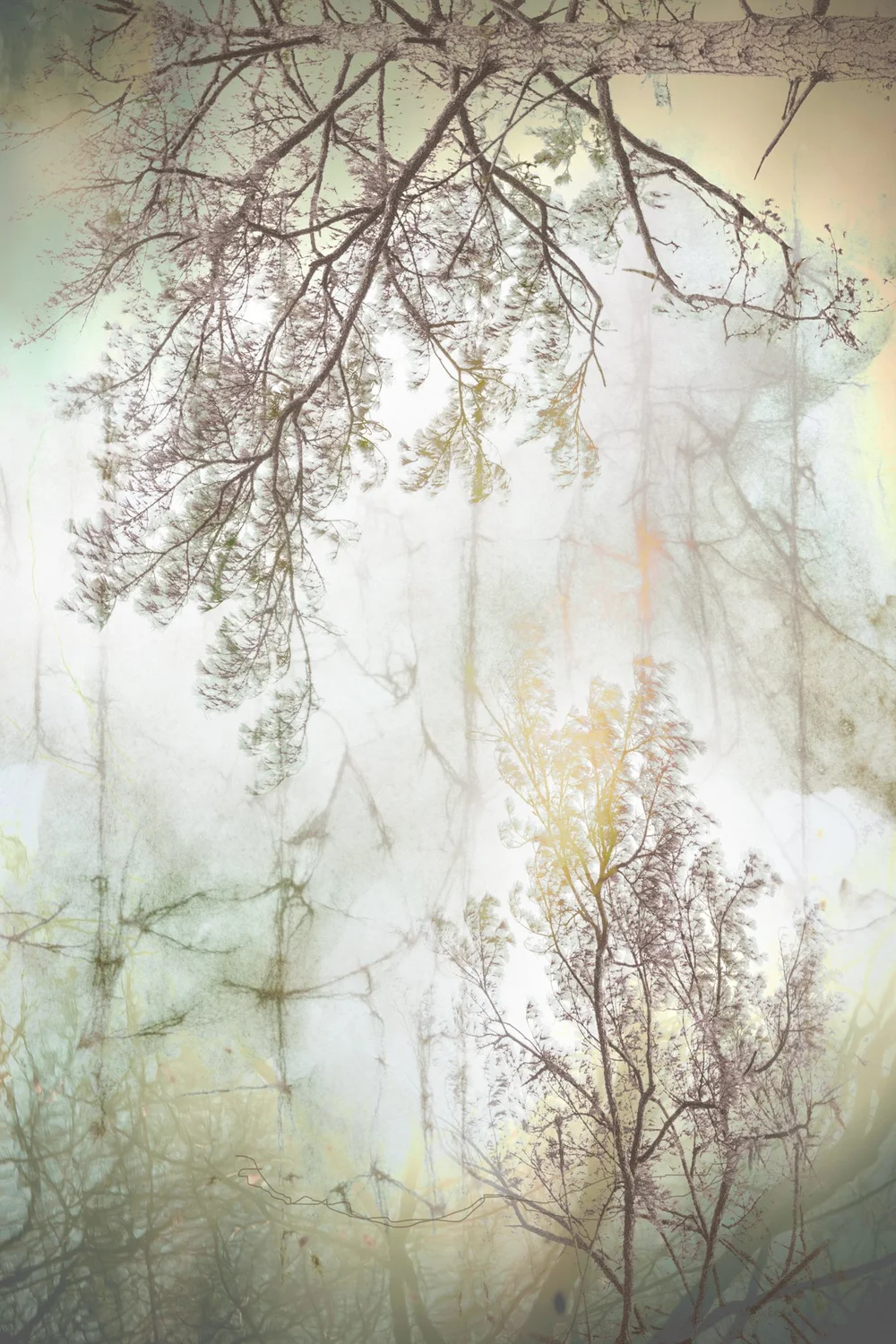 Limited Edition Prints — Karen Olson Photography