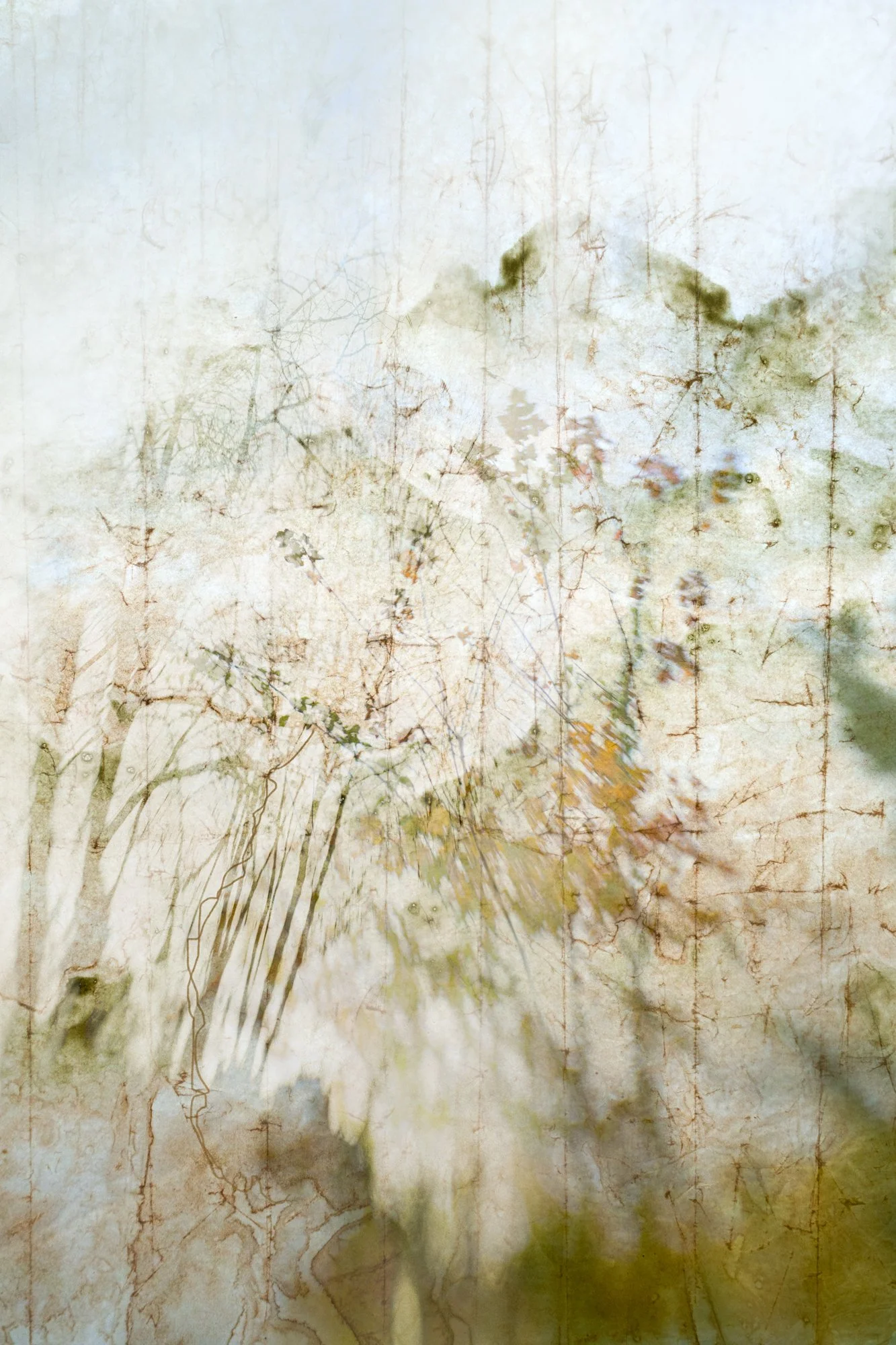 Karen Olson Photography