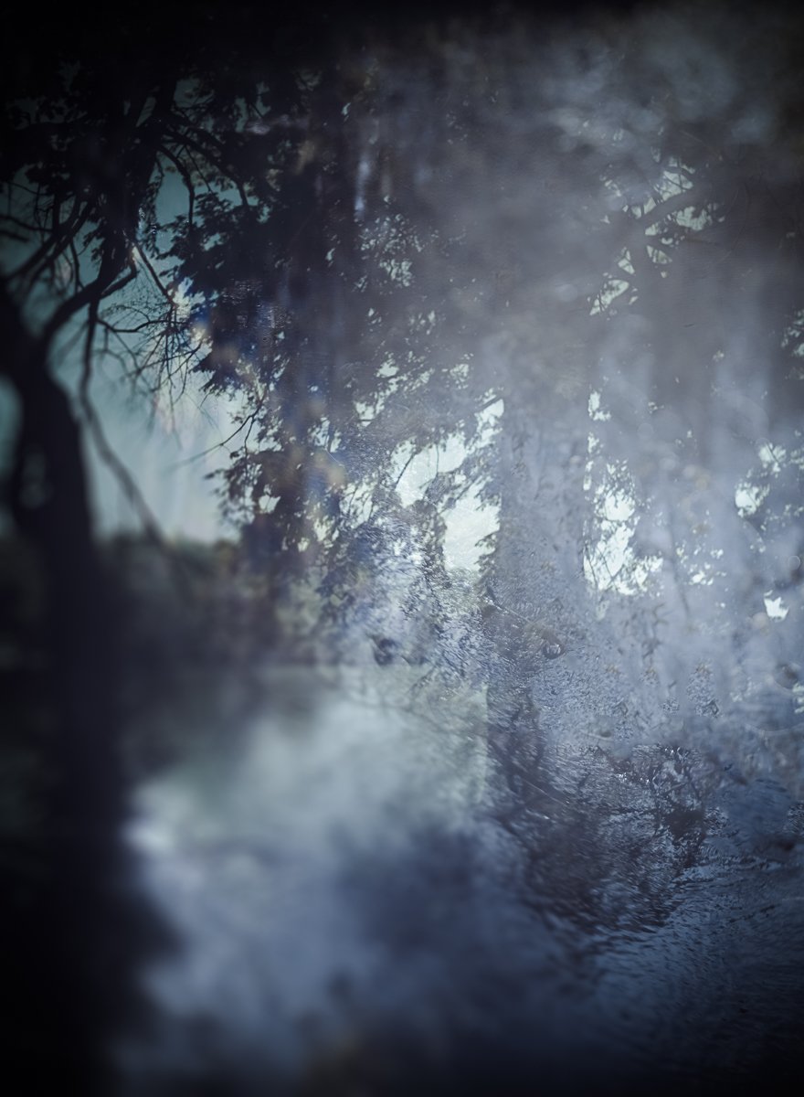 Karen Olson Photography