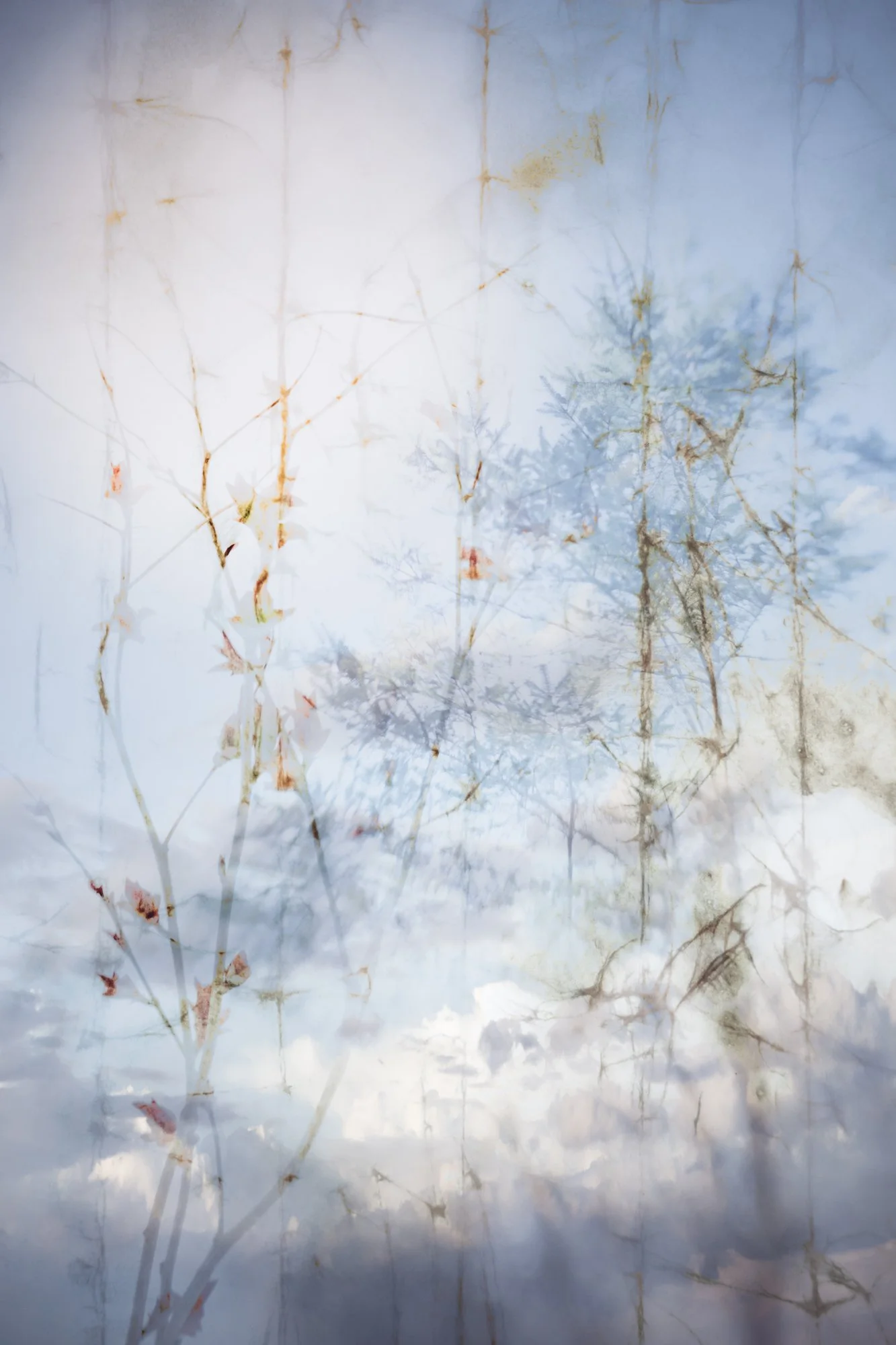 Limited Edition Prints — Karen Olson Photography
