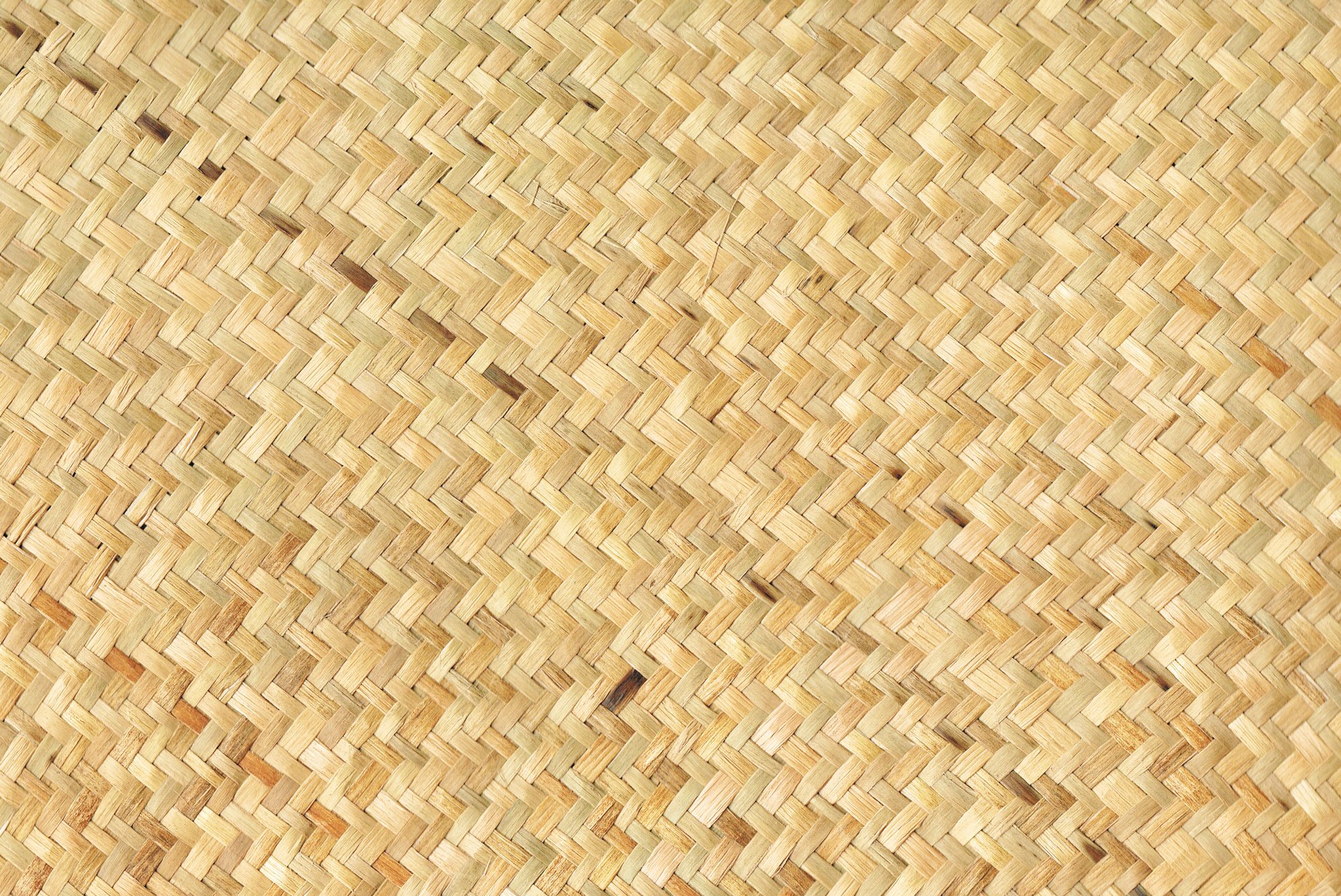 Governance — Te Rūnanga O Toa Rangatira