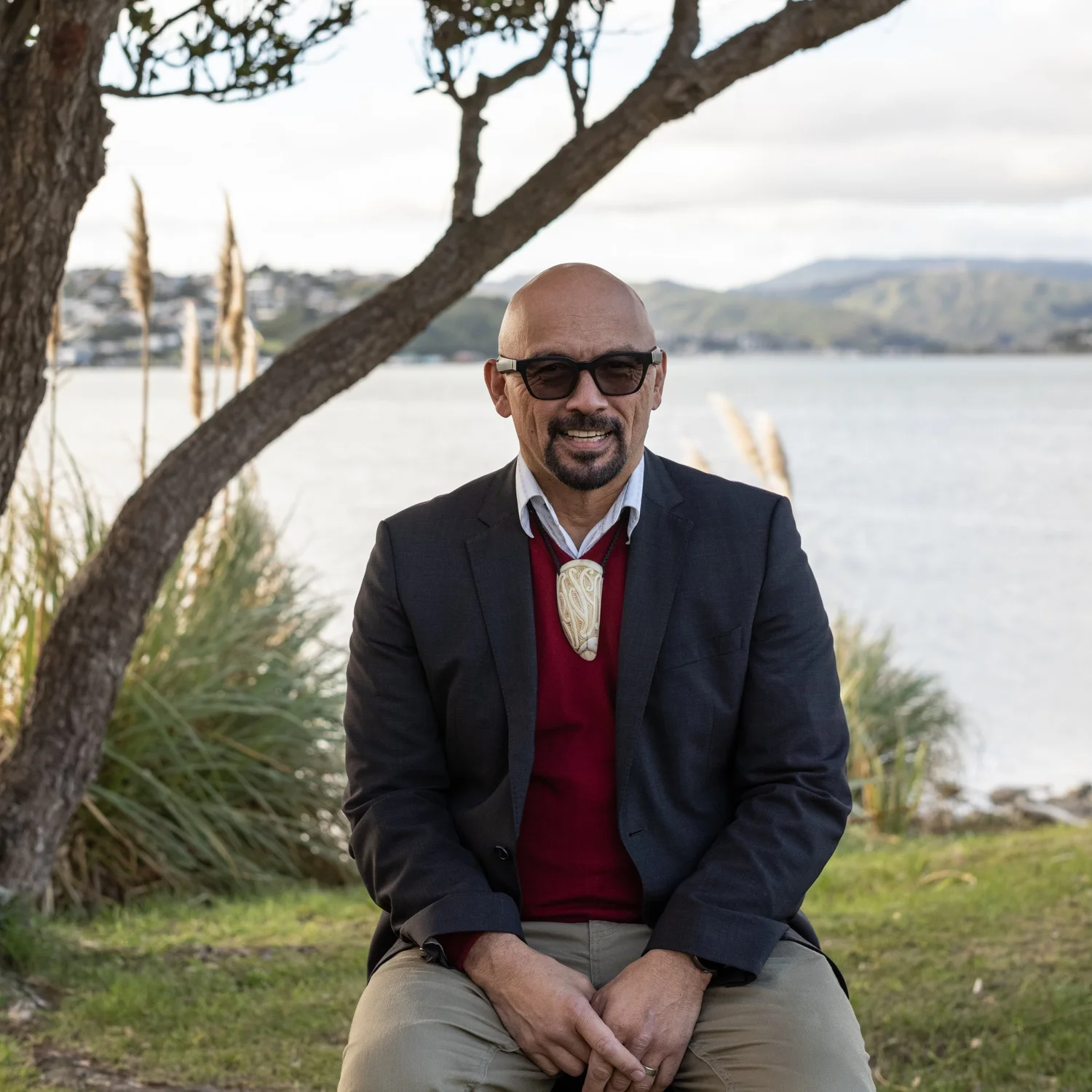 Governance — Te Rūnanga O Toa Rangatira