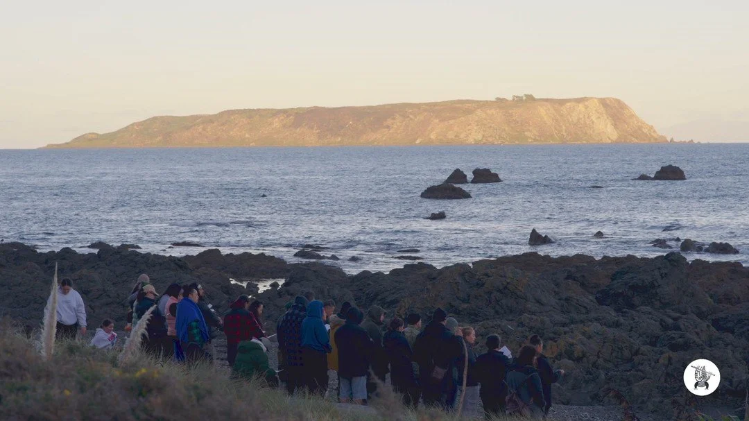 Panui — Te Rūnanga O Toa Rangatira