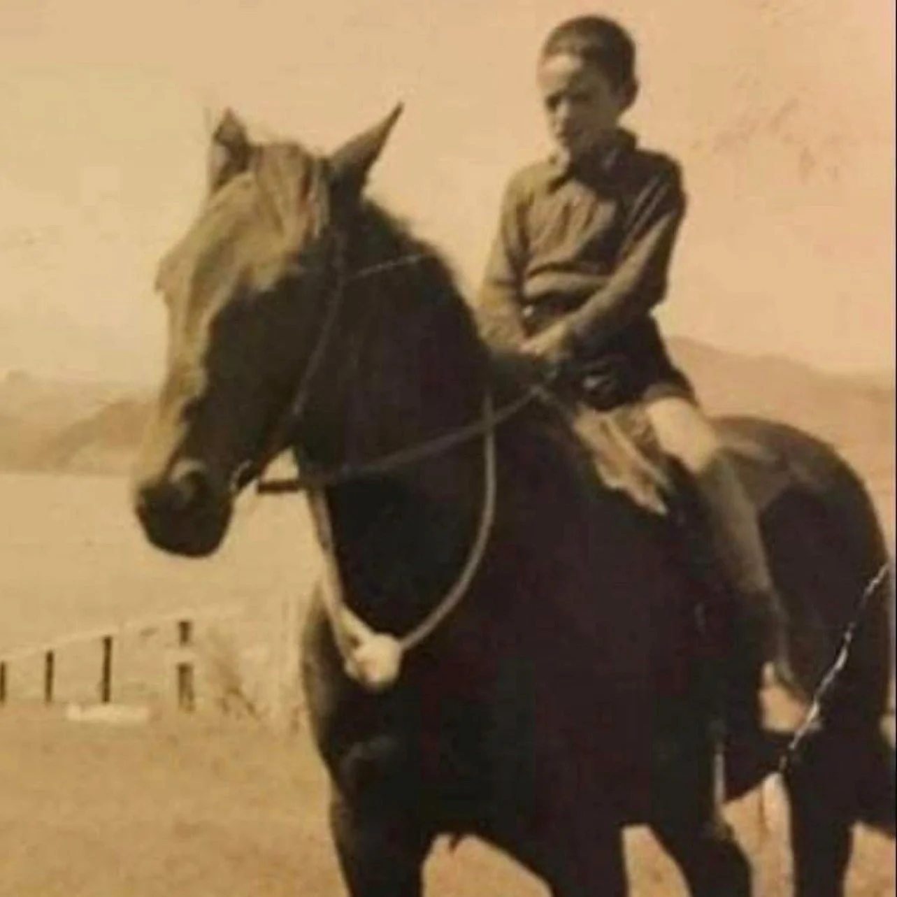 Te Kaupoi o Ngāti Toa — Te Rūnanga O Toa Rangatira