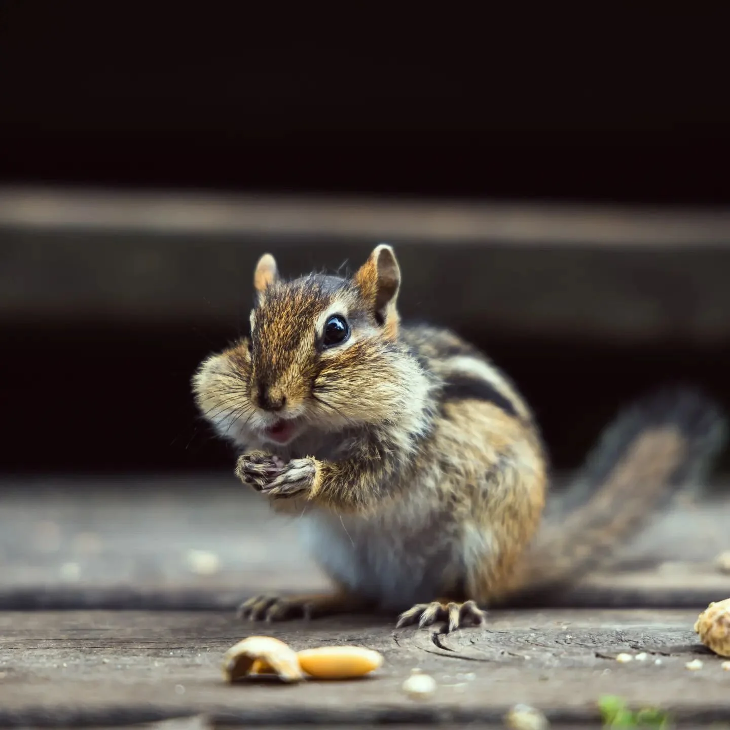 Northern Sights Media | Media Creation | Eastern North Carolina