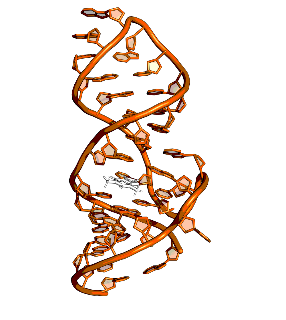 Wayfinder Biosciences