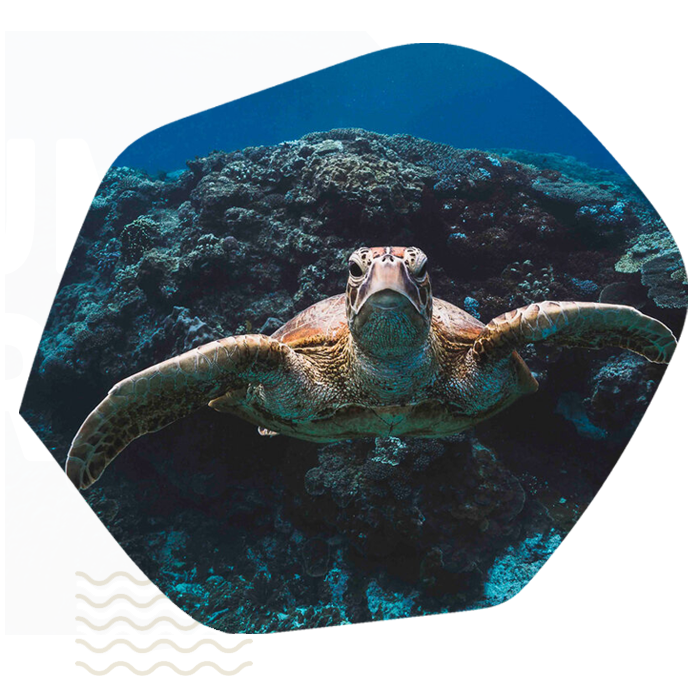 Shooter/Producers Changing The World, One Story At A Time — Grumpy ...