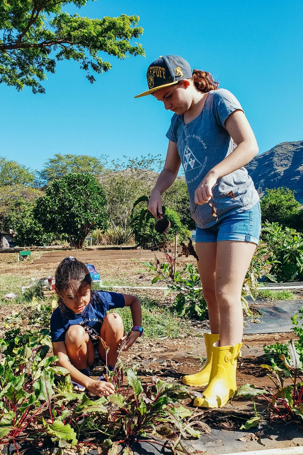 Hoa ʻĀina O Mākaha Farm | Planting Seeds of Hope