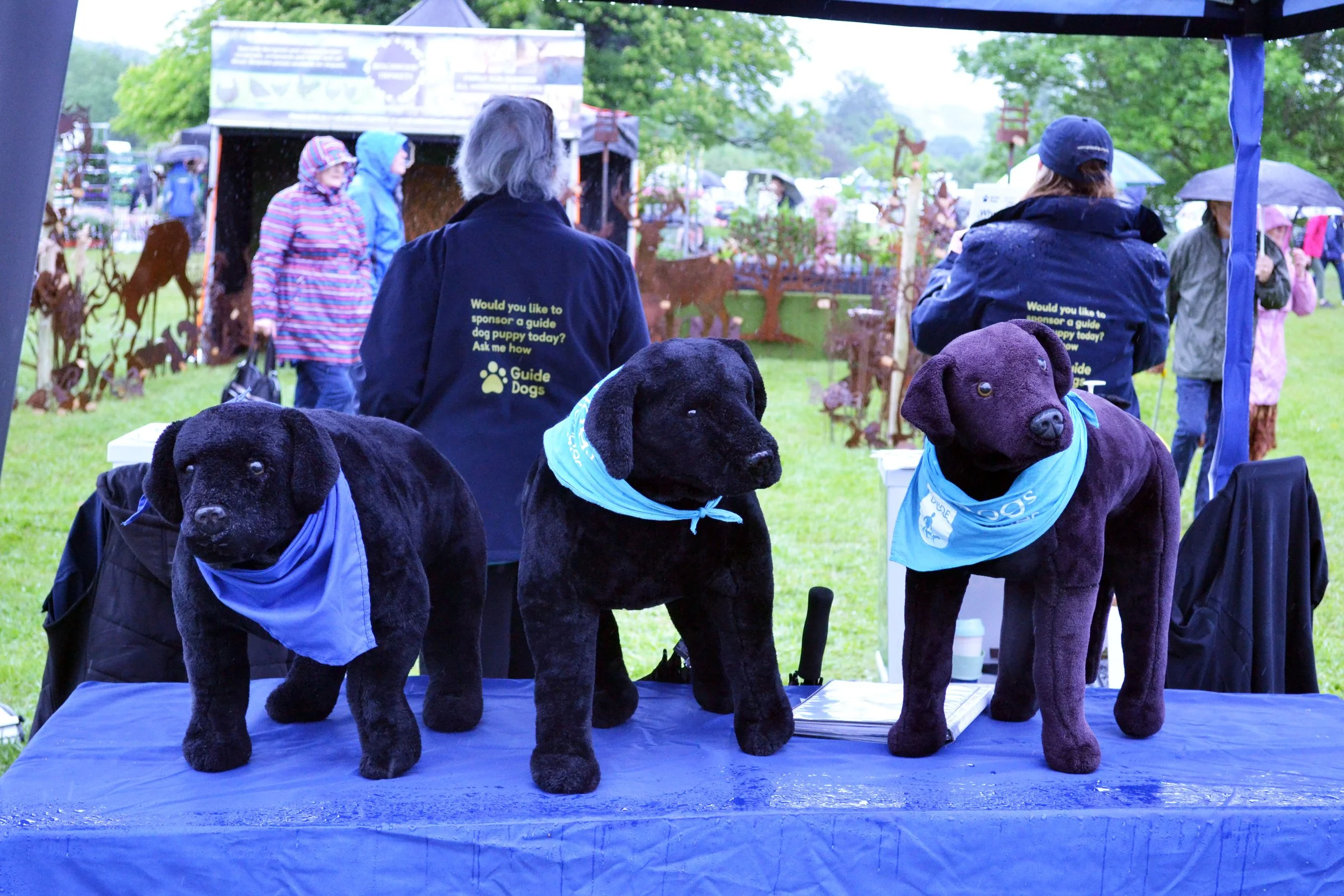An Interview with Our Longstanding Charity Partner Guide Dogs UK ...