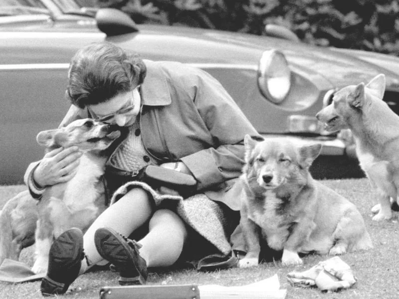 Queen Elizabeth and her 600 charities — Charity Link