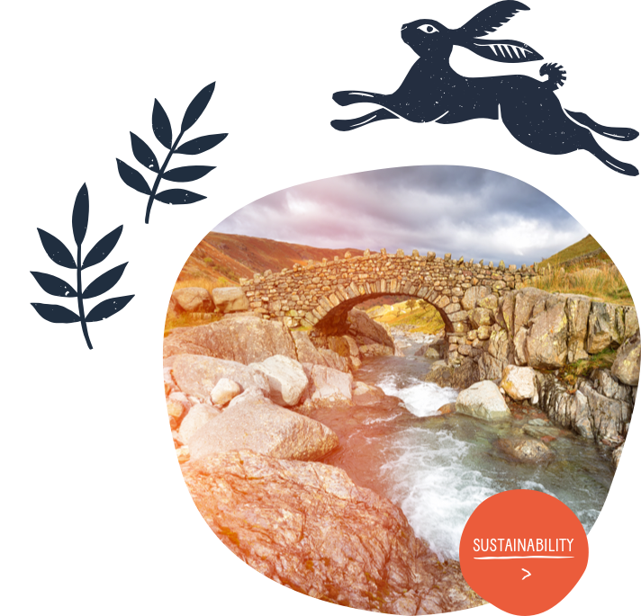 Ellers Farm Distillery