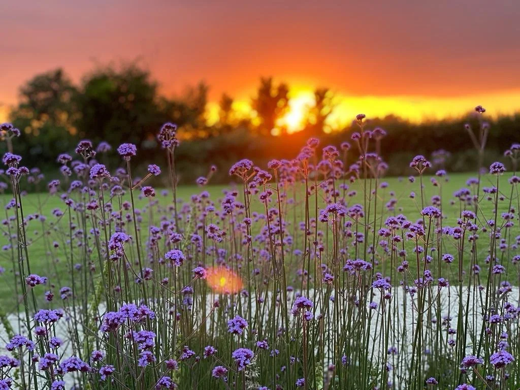 bluebell farm - our story