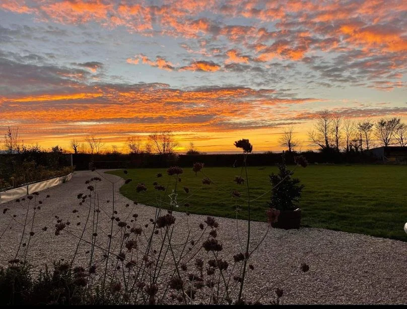 bluebell farm - our story