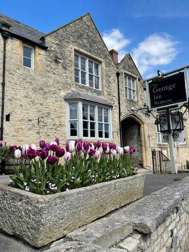 bluebell farm - wedmore village