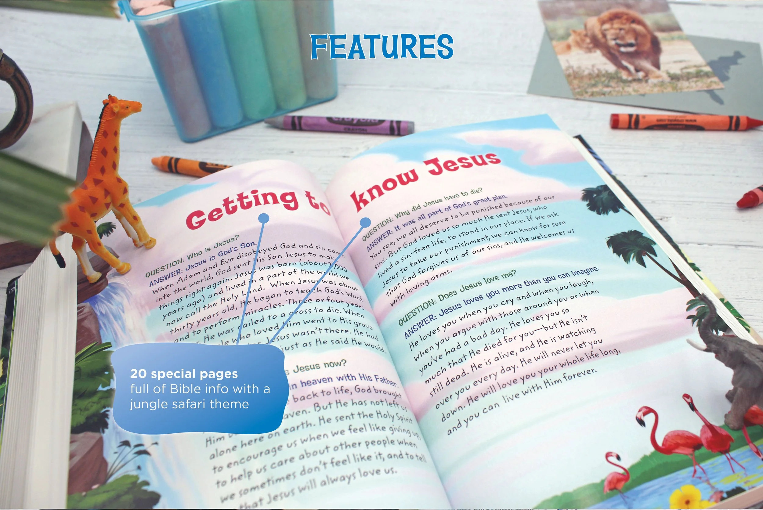 Featured Bibles — Christian Books, Bibles & Gifts in Orlando | Long's ...