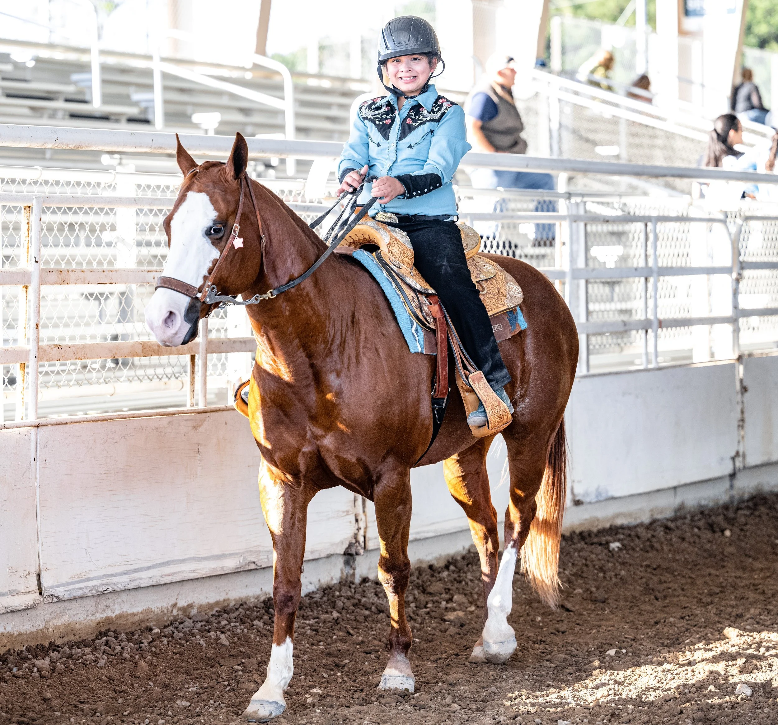 Blueberry Creek Stables