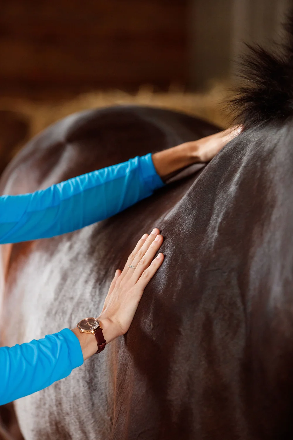 Testimonials — Legacy Equine Nutrition – Unbiased, science-based ...