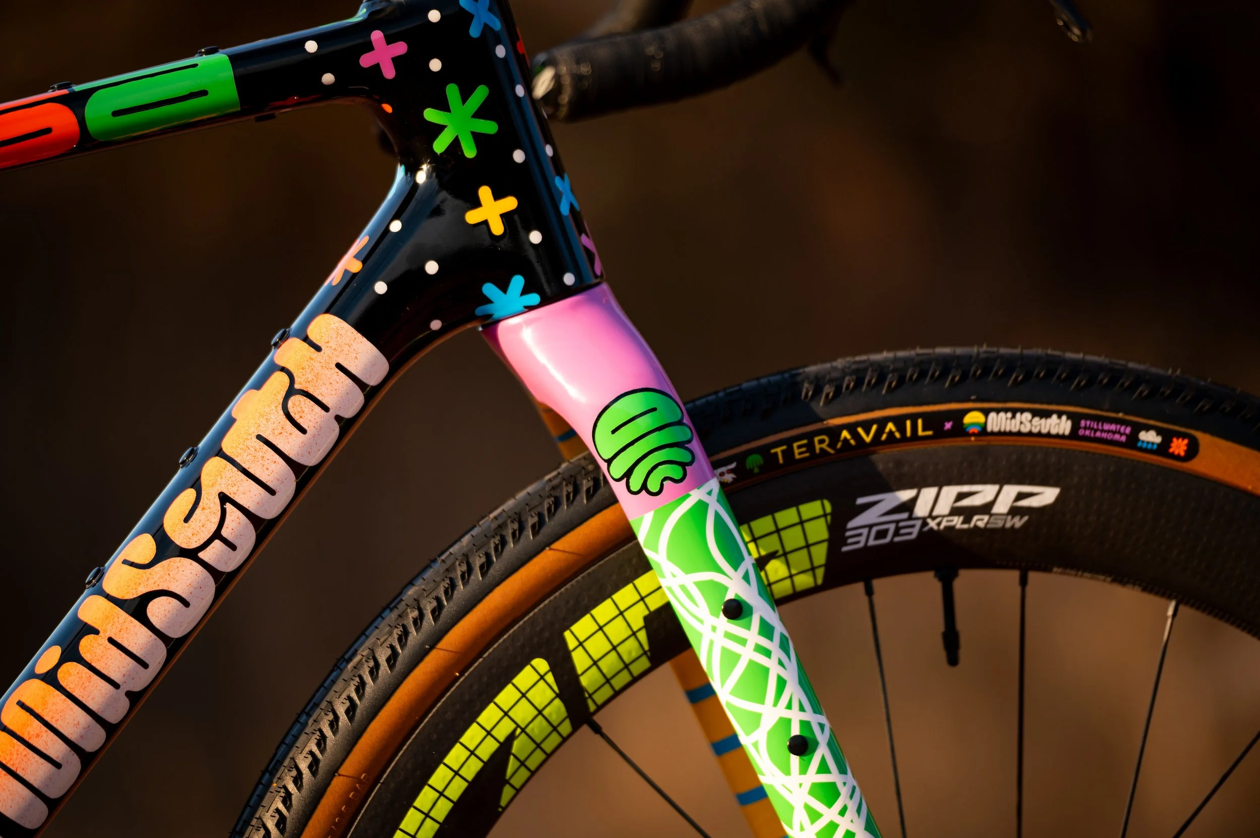 Salsa Flyway - collab art bike raffle — THE MID SOUTH