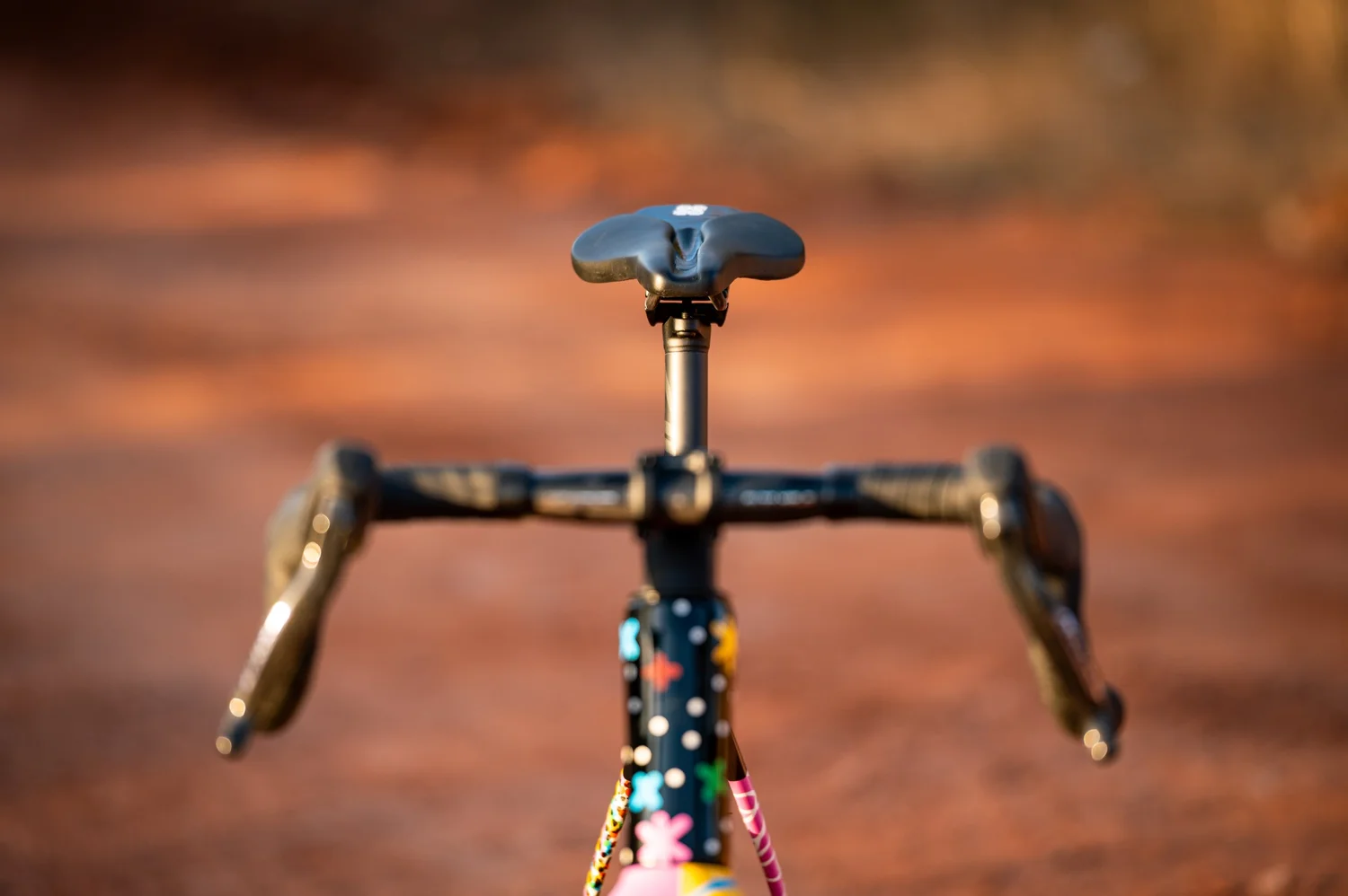 Salsa Flyway - collab art bike raffle — THE MID SOUTH